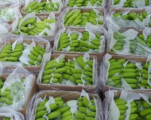 About Us – Customized Packging Solution Provider. – INTACT